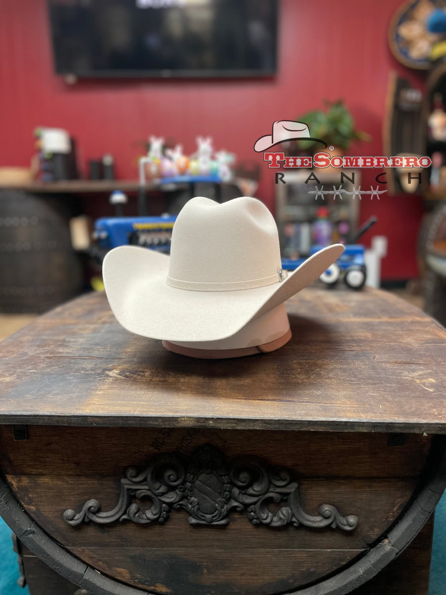 Cuernos Chuecos 6X Oscar – The Sombrero Ranch Online